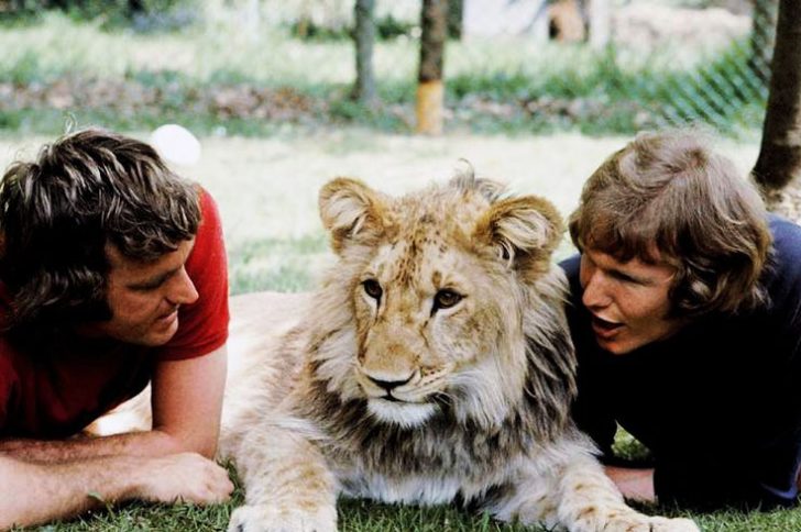 Man Saved a Lion and this Happened When They Reunited… – BuzzNext